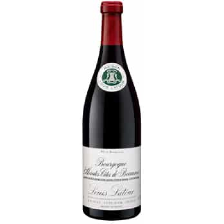 Moët & Chandon Brut 75cl - Buy online in UAE - SUPER CELLAR